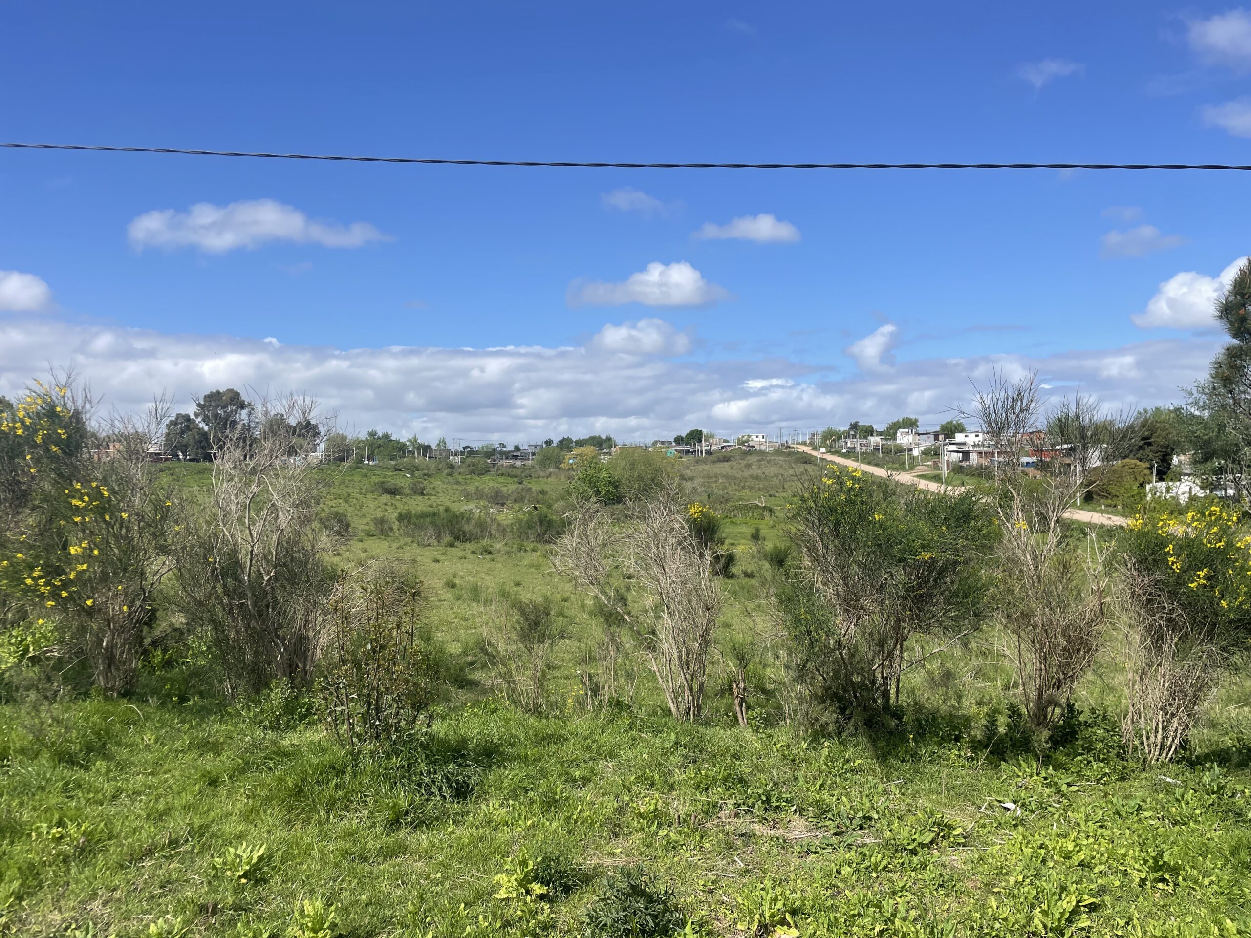 Venta padrón suburbano de 3,6 HA a metros de la Perimetral - ALTO PANORAMA