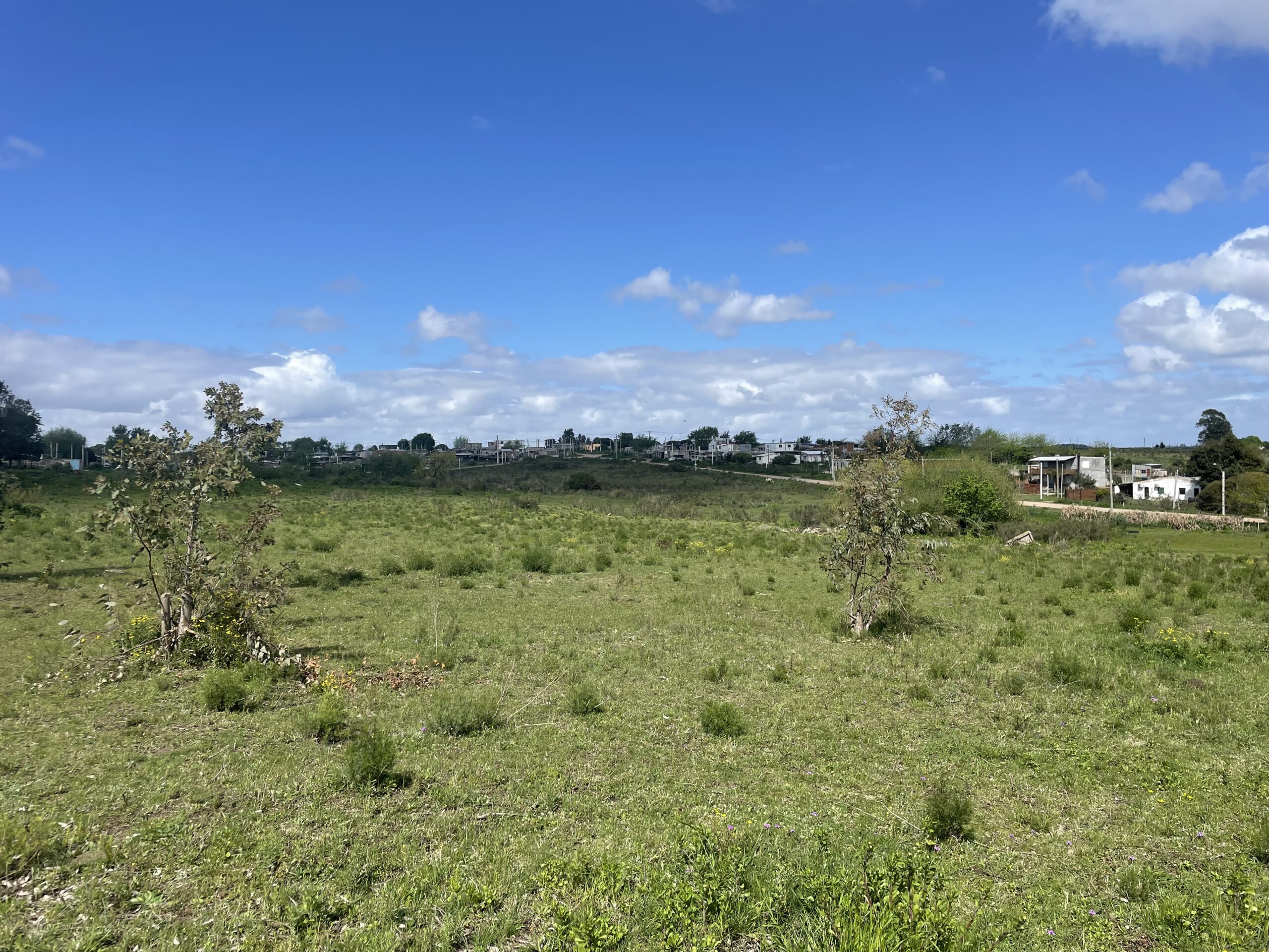 Venta padrón suburbano de 3,6 HA a metros de la Perimetral - ALTO PANORAMA